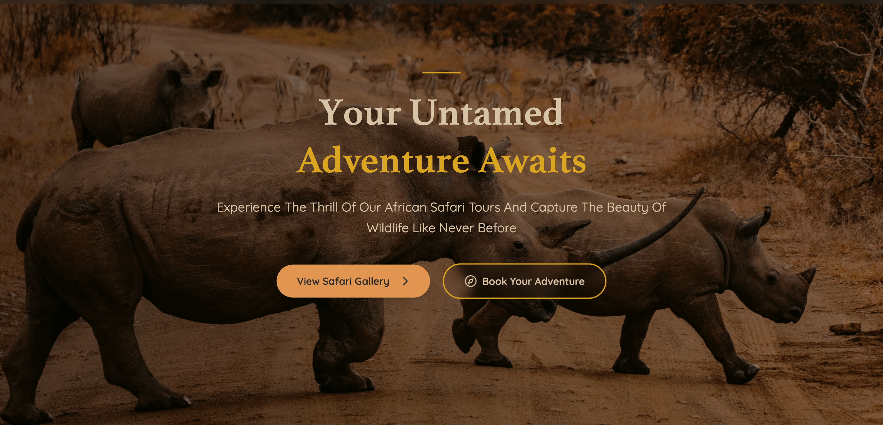Brady's Wildlife Adventures | African Safari Tours